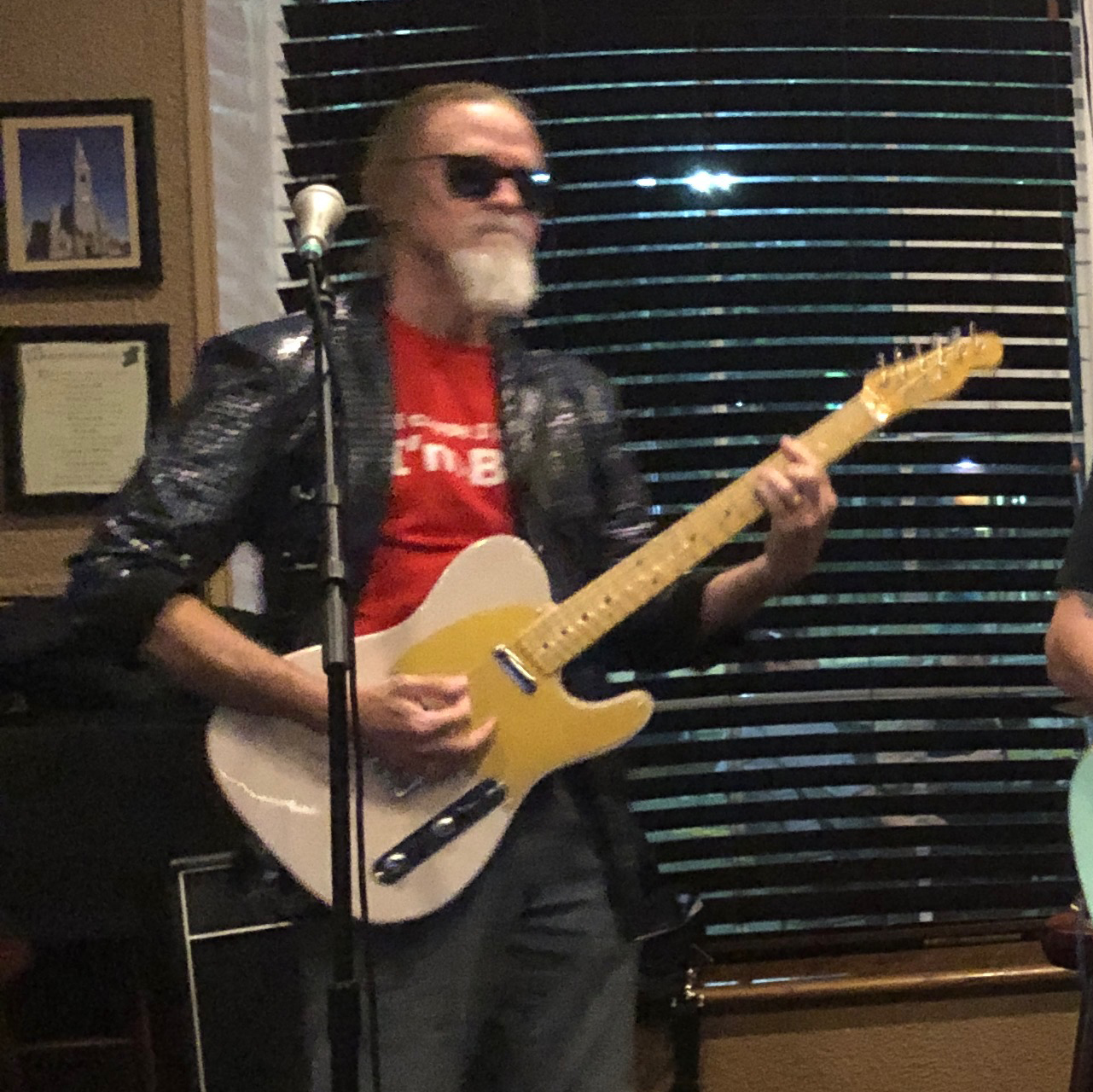 Wildflower Dreams | DC-based Tom Petty, Stevie Nicks/Fleetwood Mac ...